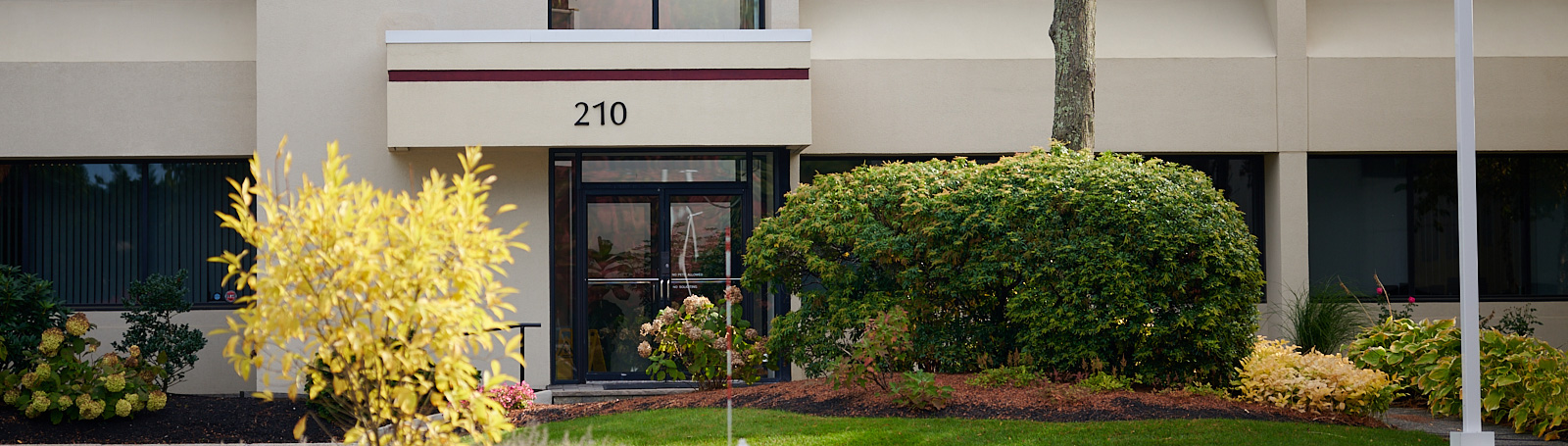 About Us | Optimal Wellness MD | Woburn, MA